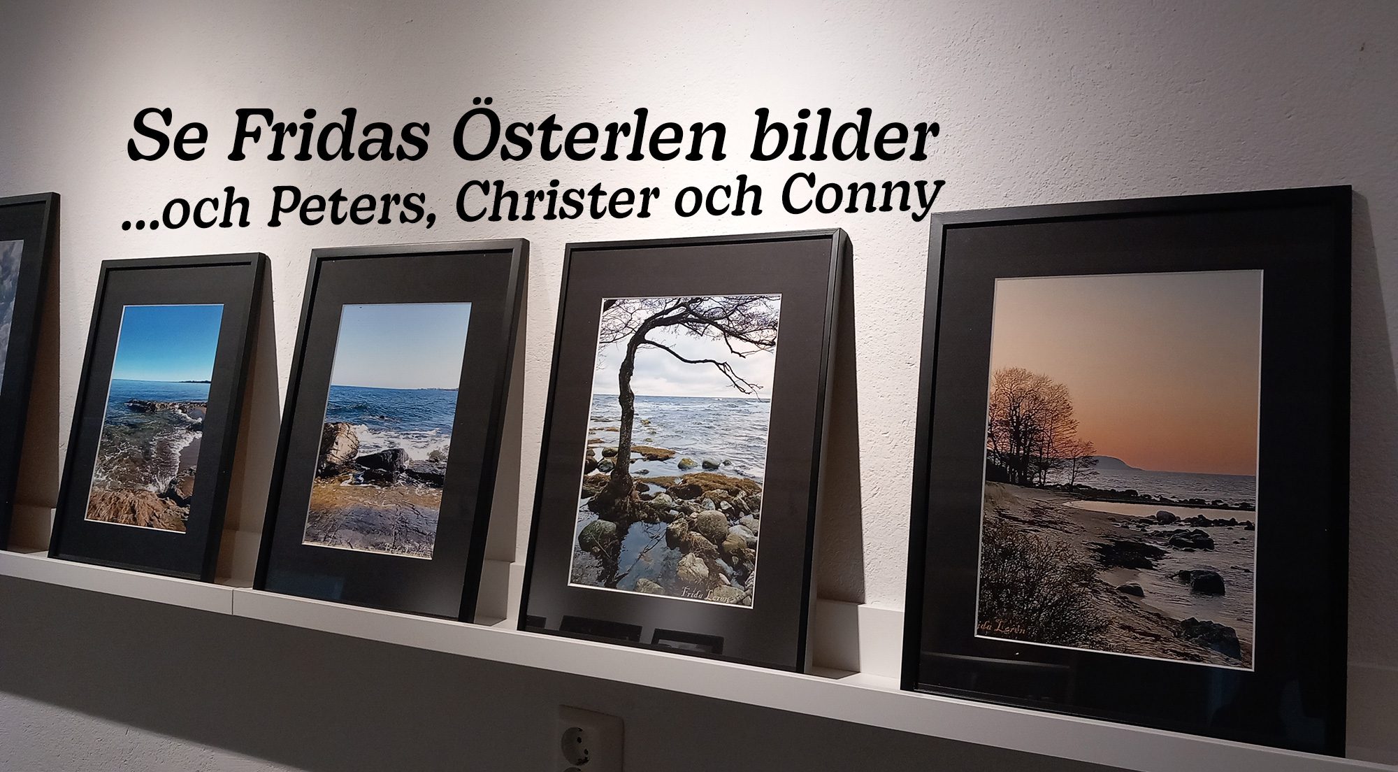 Fotoklubben med BILDEN i fokus